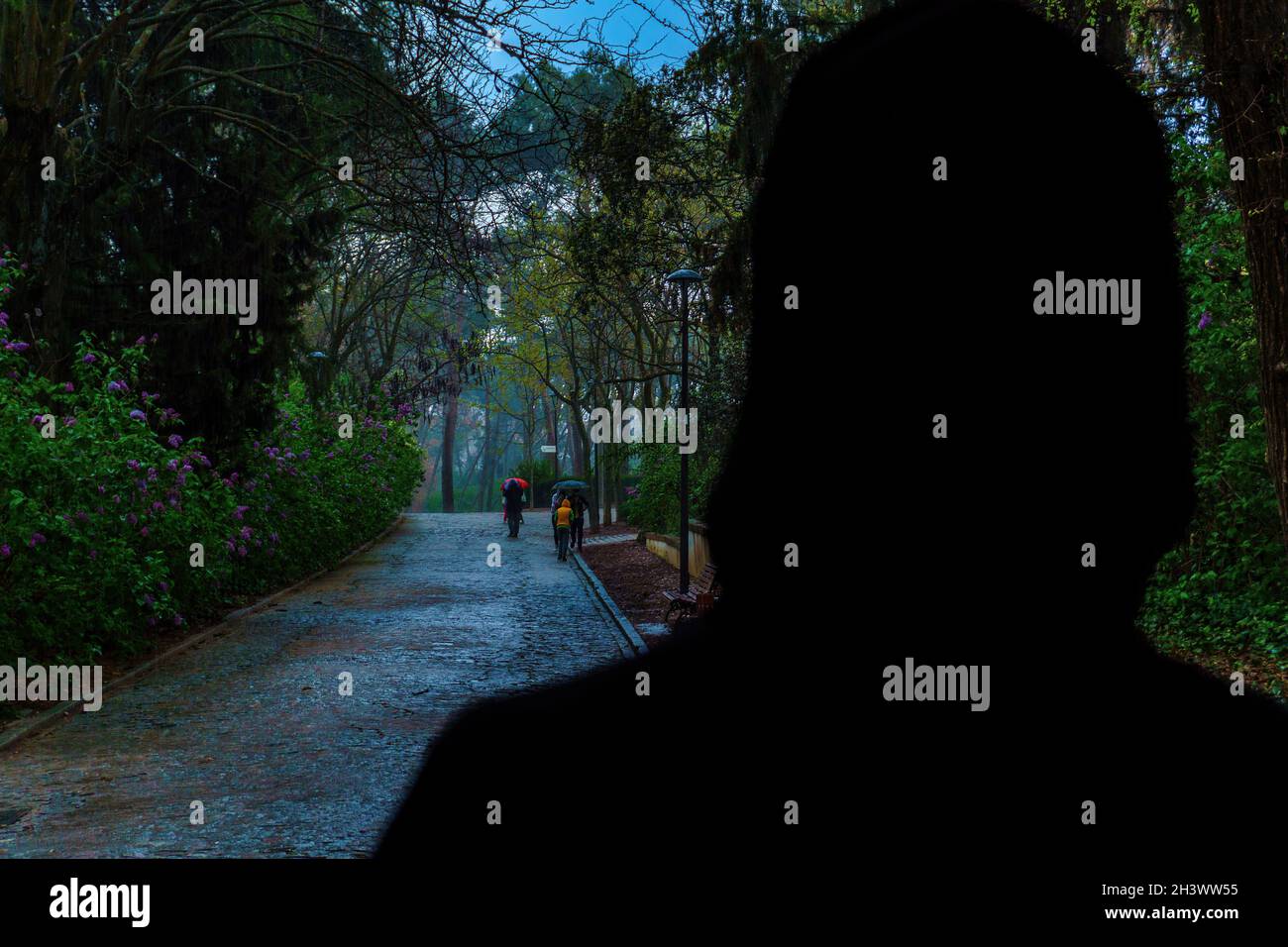 Unknown person interview silhouette hi-res stock photography and images ...