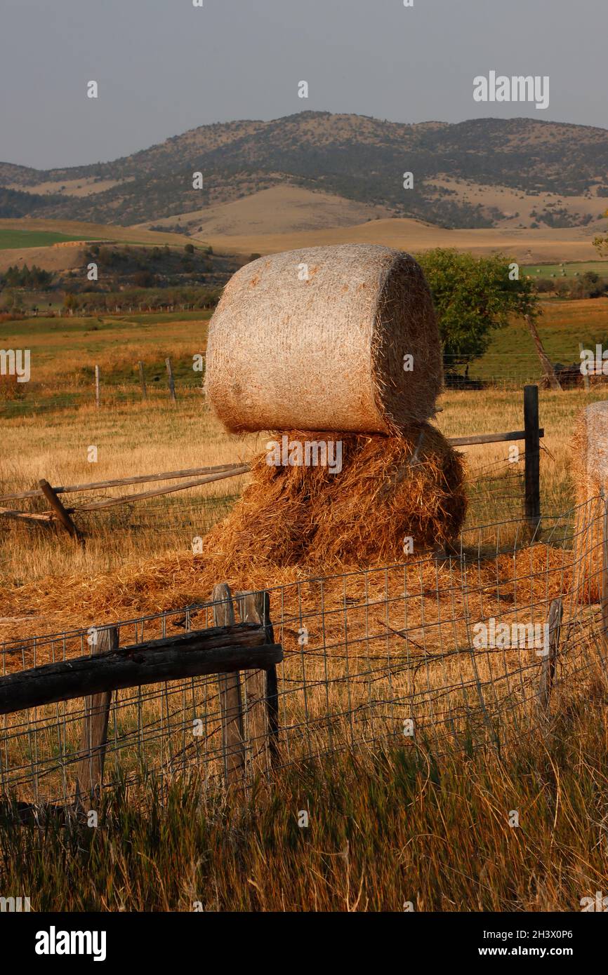 Hay bales on a ranch in the western United States Stock Photo - Alamy