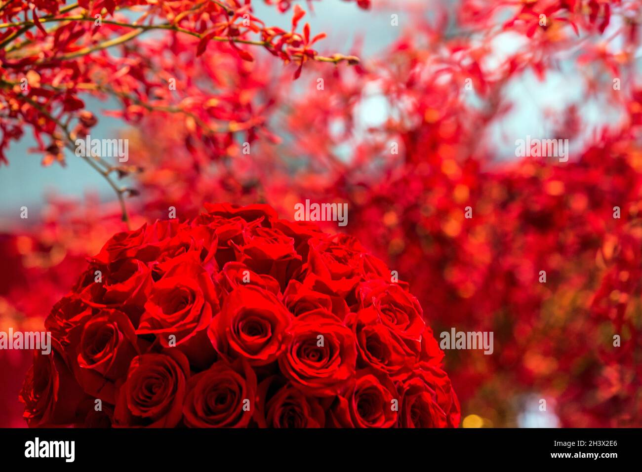 Flower arrangement of red roses on display at an event Stock Photo - Alamy