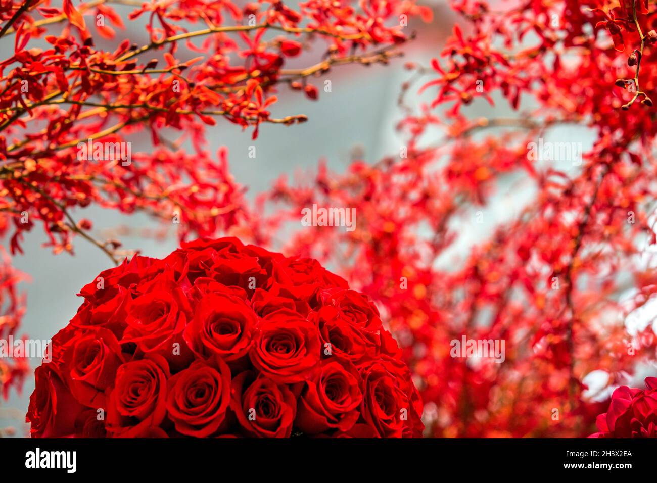 Flower arrangement of red roses on display at an event Stock Photo - Alamy