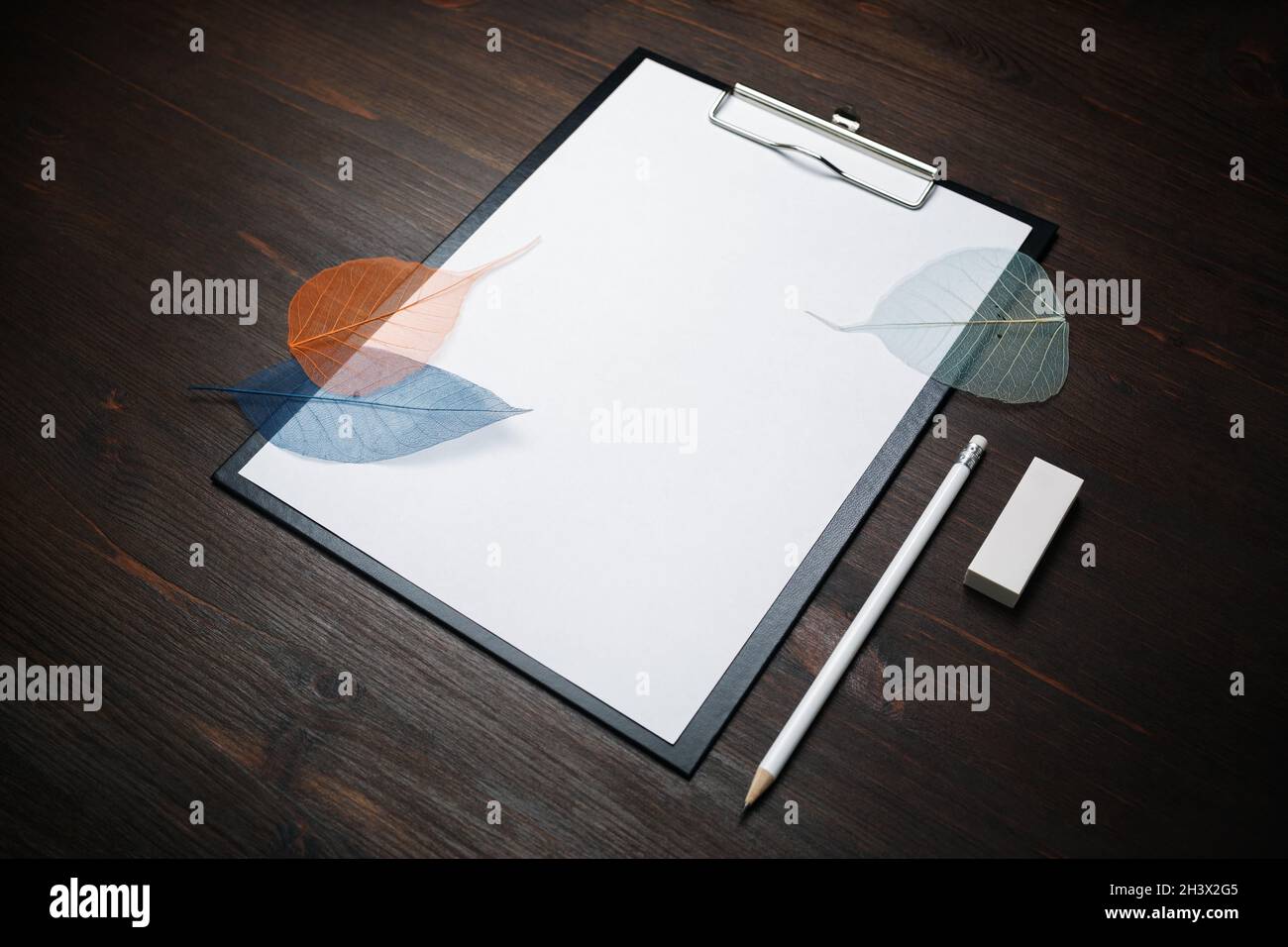 Blank stationery template Stock Photo - Alamy