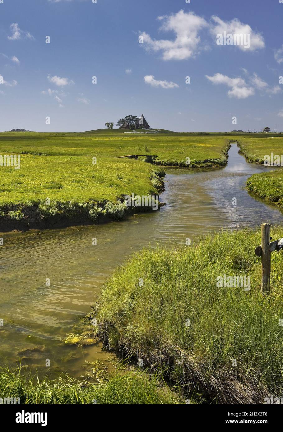 Marshland and drainage ditches and terps, Hallig Hooge, Schleswig ...