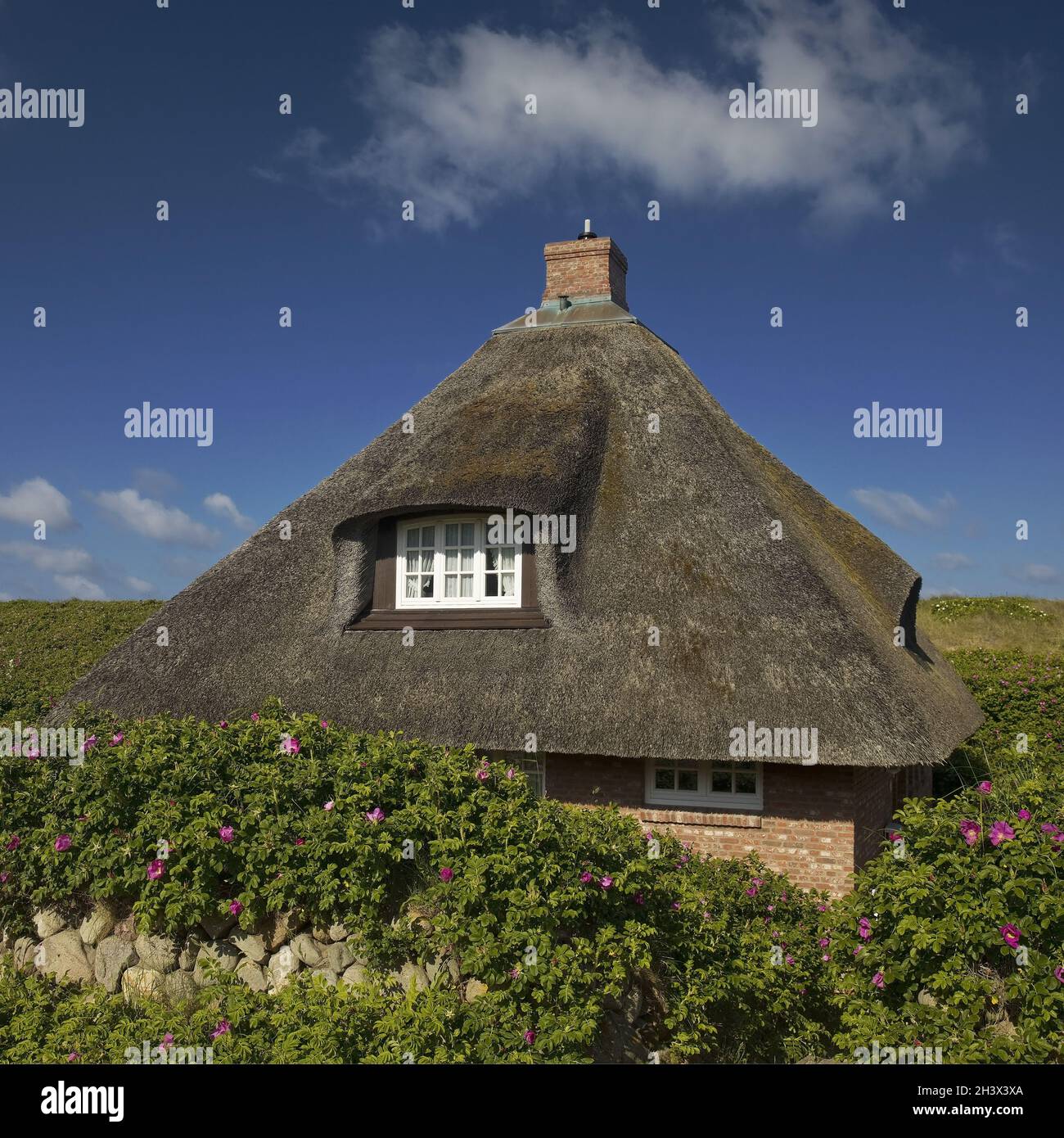 Thatched roof house, Frisian house, Hoernum, Sylt, North Sea, Schleswig ...