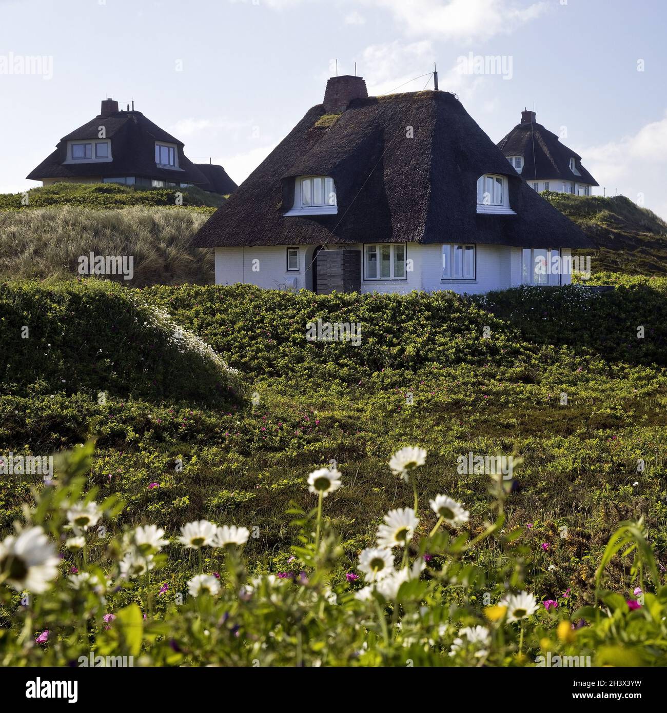 Thatched roof houses, Frisian houses, Hoernum, Sylt, North Sea ...