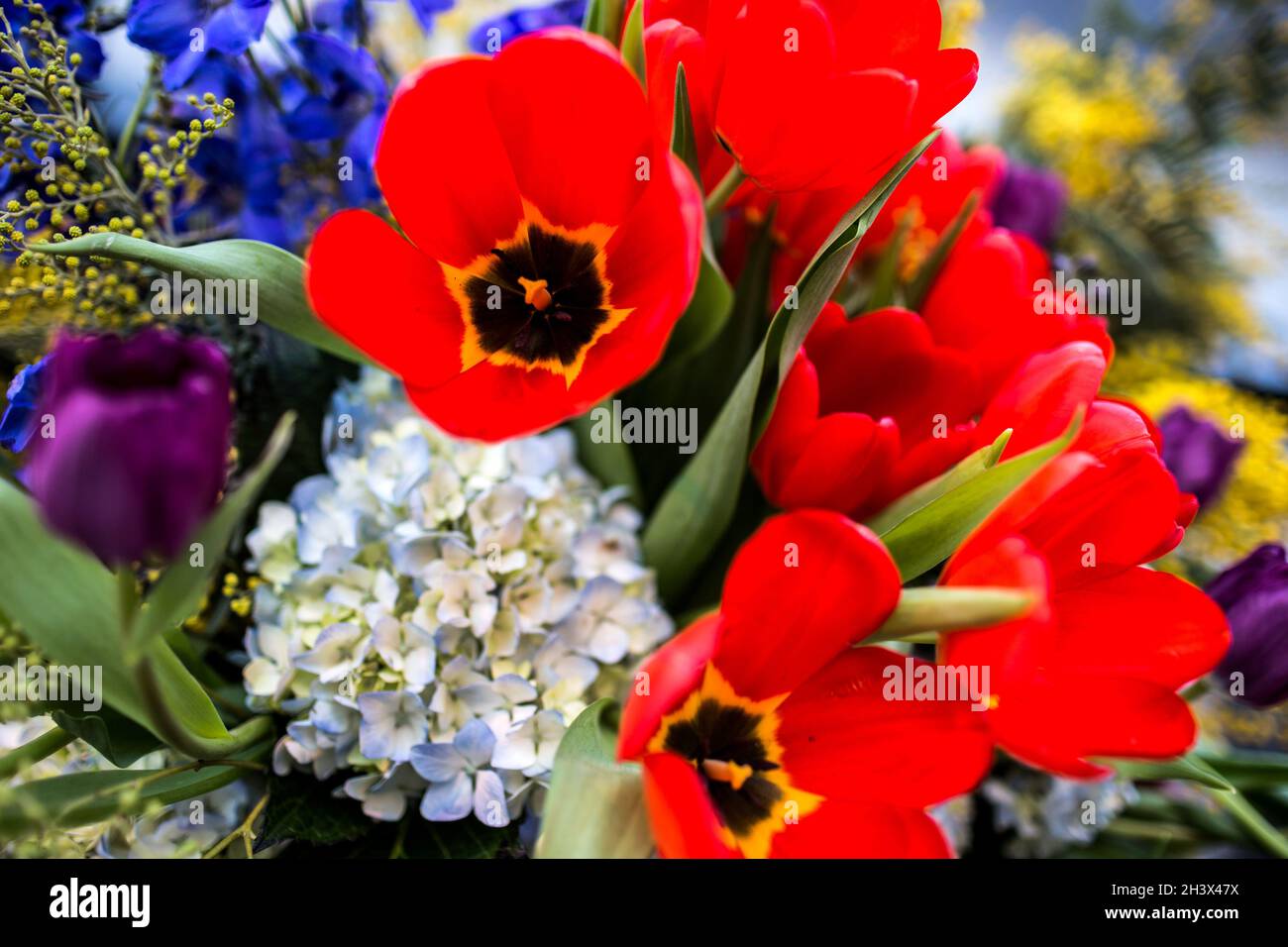 Flower arrangement on display at an event Stock Photo - Alamy