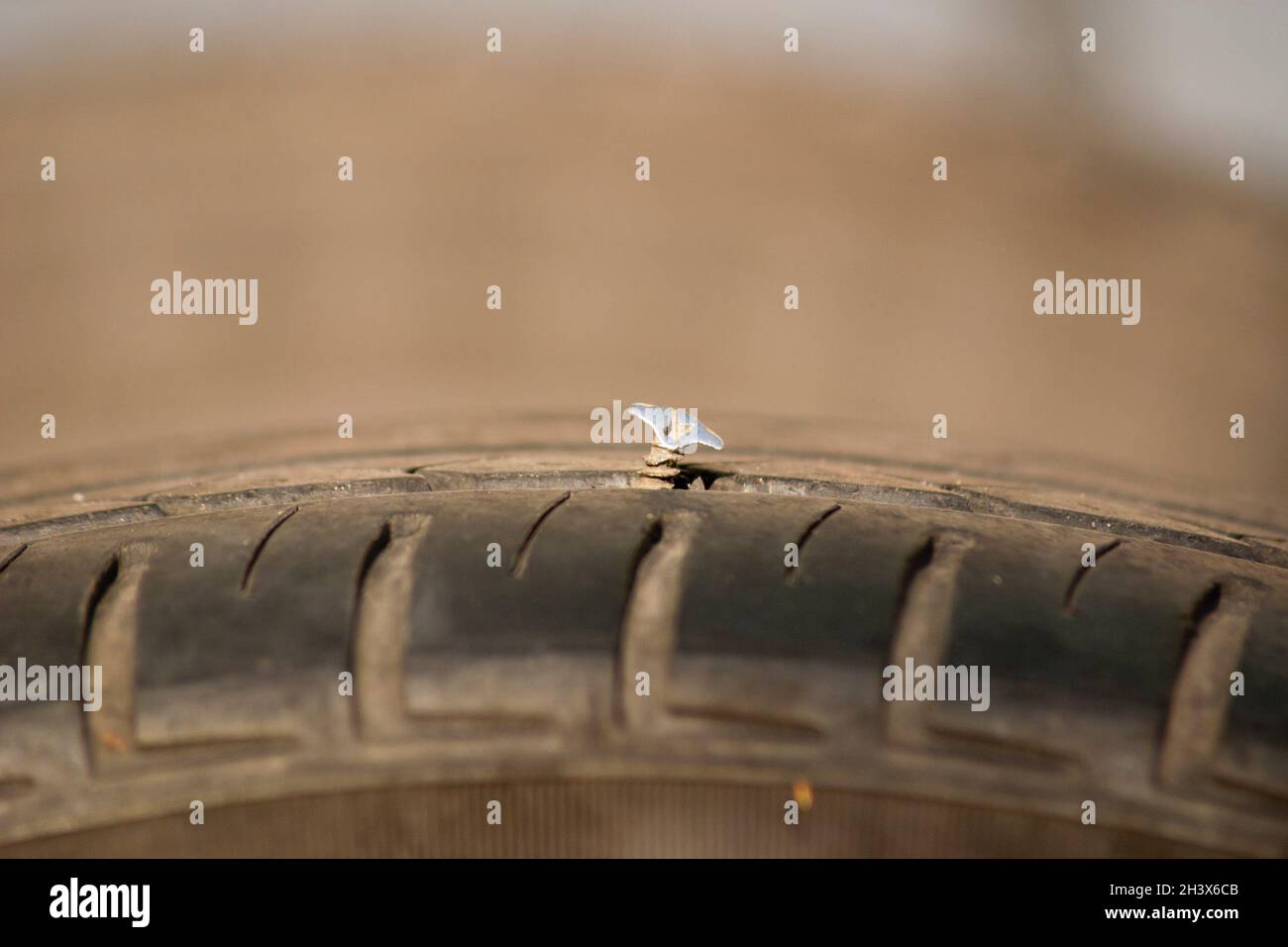 Car punctured hi-res stock photography and images - Alamy