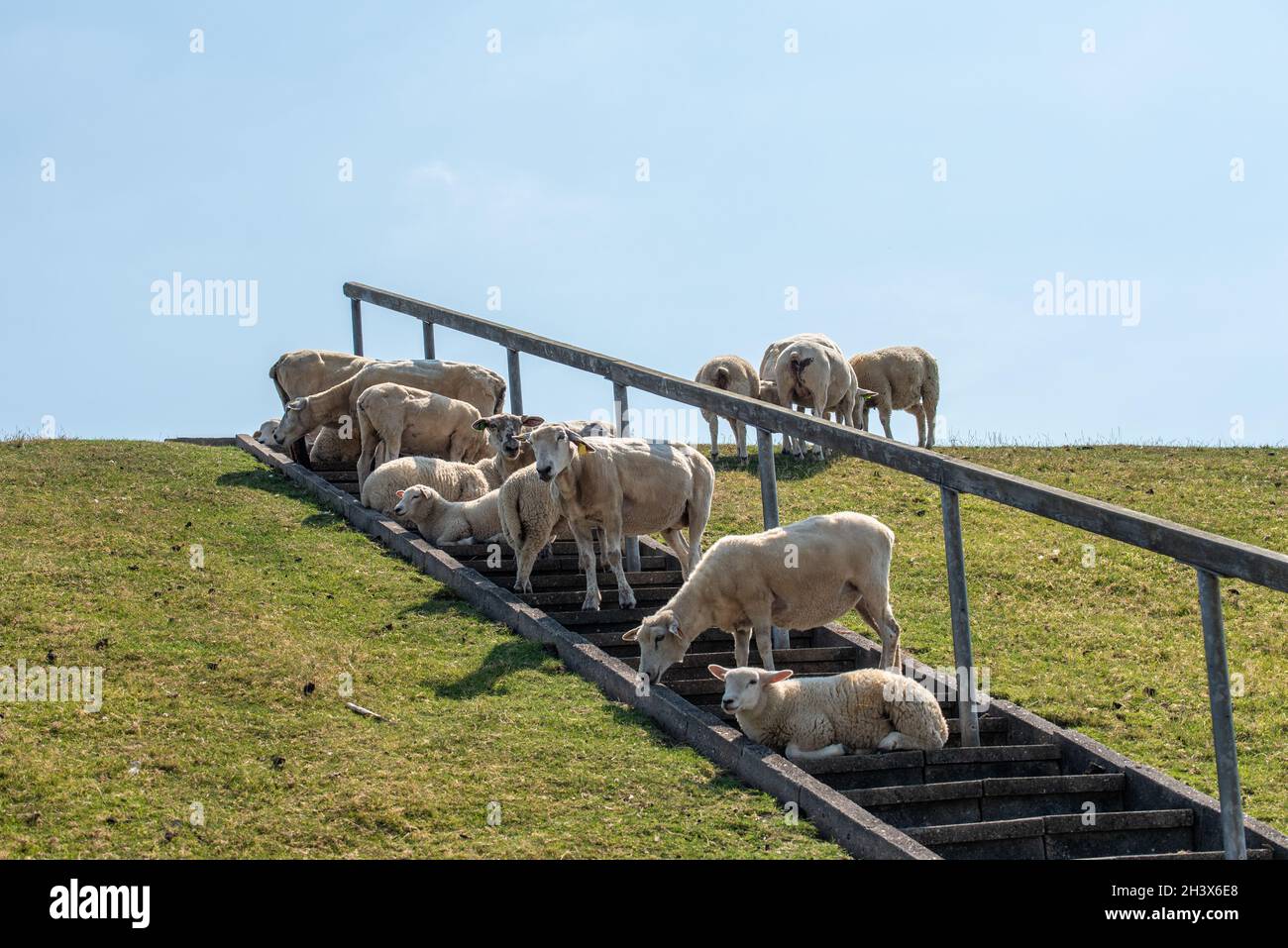 Coastal blockade hi-res stock photography and images - Alamy