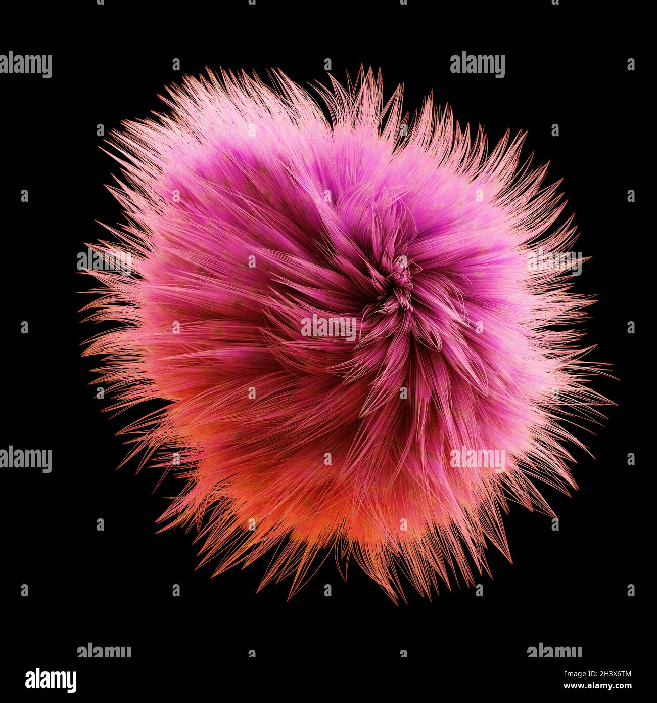 fluffy ball, furry pink sphere isolated on black background Stock Photo ...