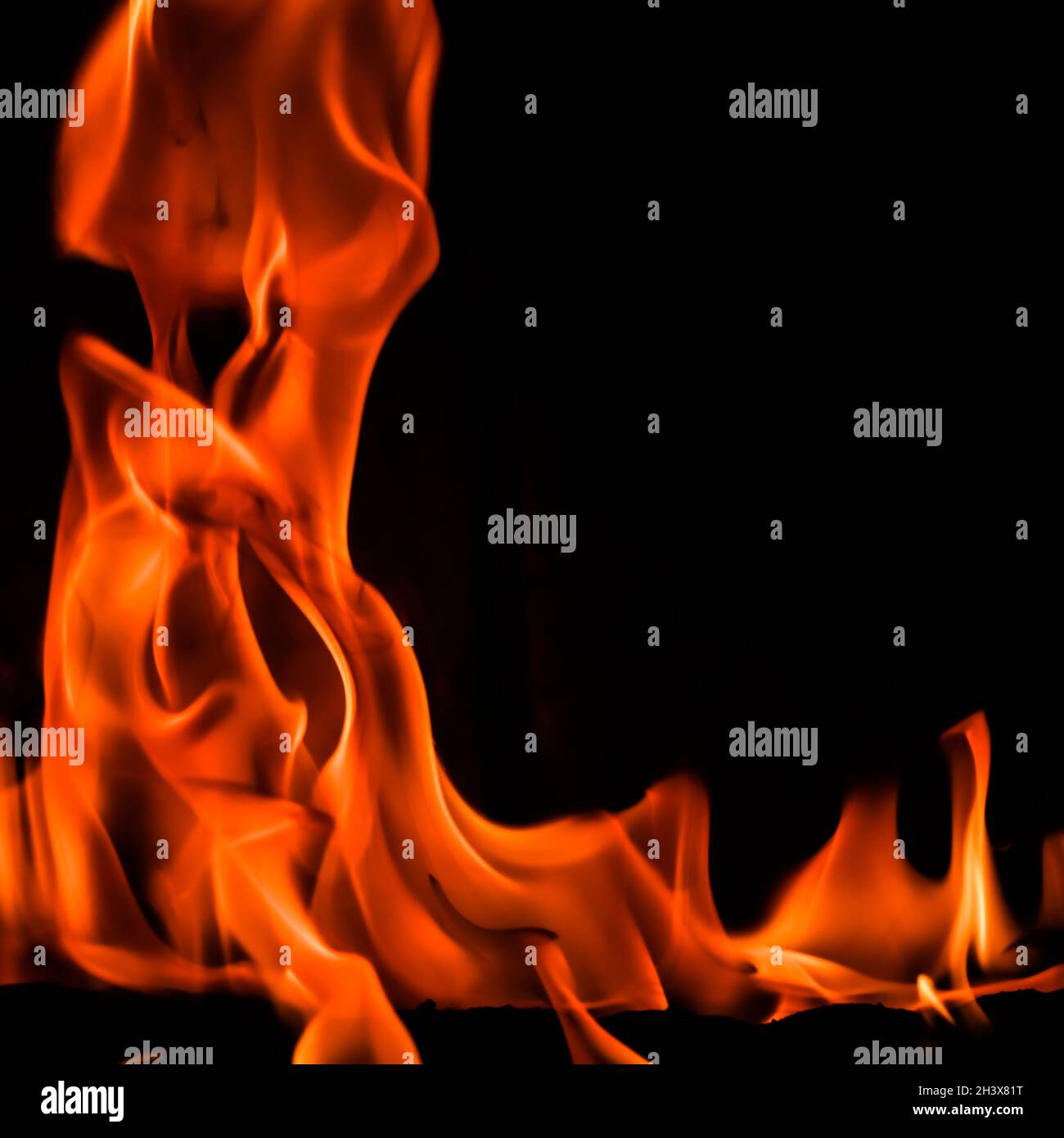Red blaze Fire flame on a black background Stock Photo - Alamy