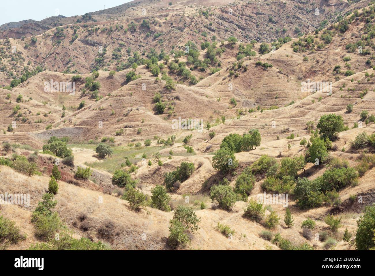 Hills of eastern Turkey (Silvan region Stock Photo - Alamy