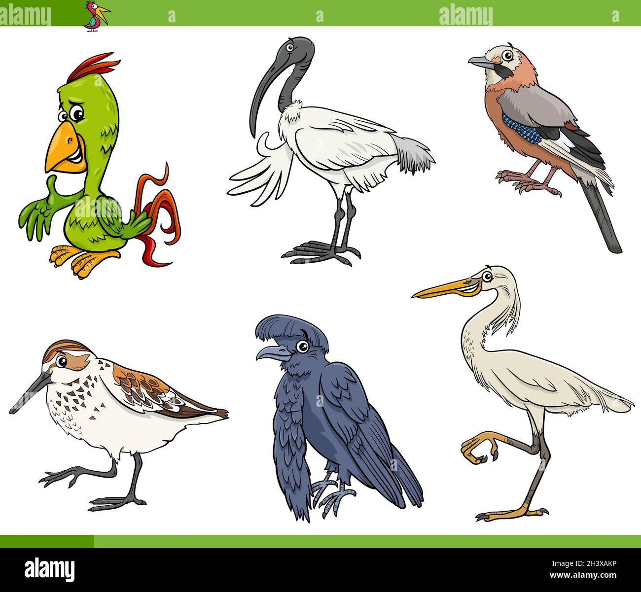 Cartoon birds species animal characters set Stock Photo - Alamy