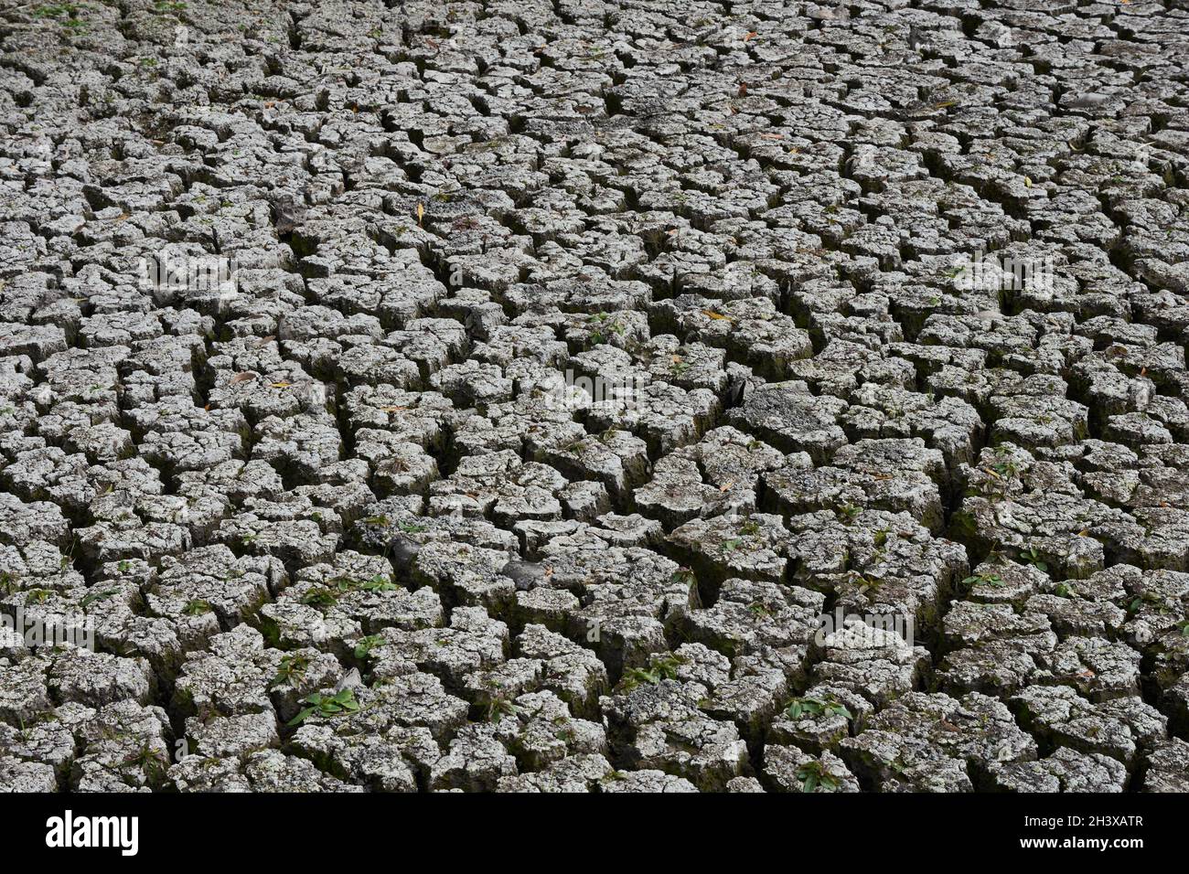 Human ponds hi-res stock photography and images - Alamy