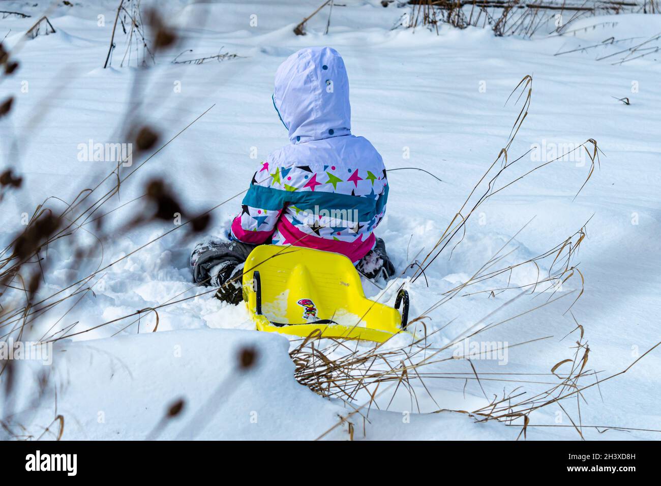 Kid is sledding in the Carpathians mountains Stock Photo - Alamy