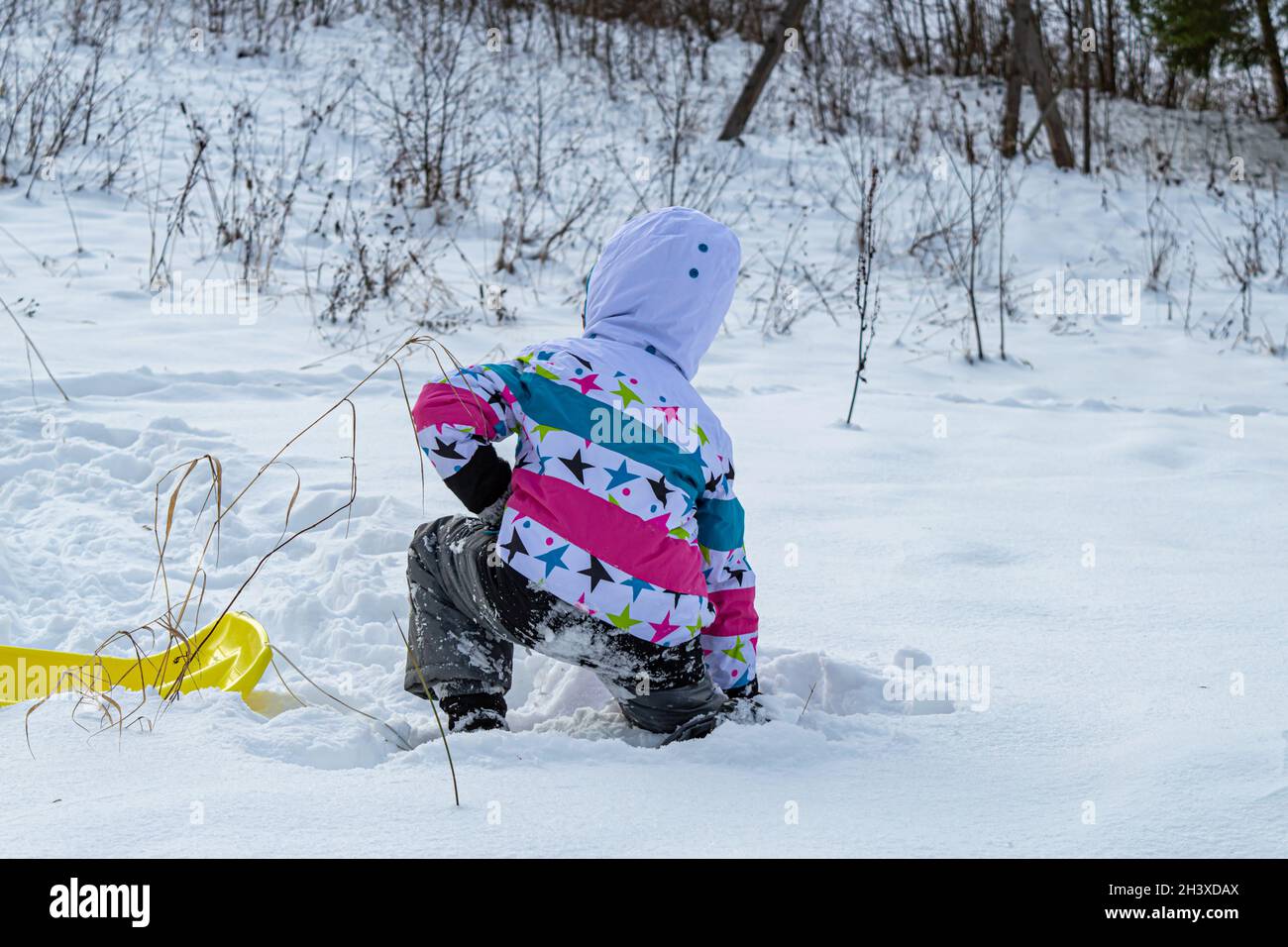 Kid is sledding in the Carpathians mountains Stock Photo - Alamy
