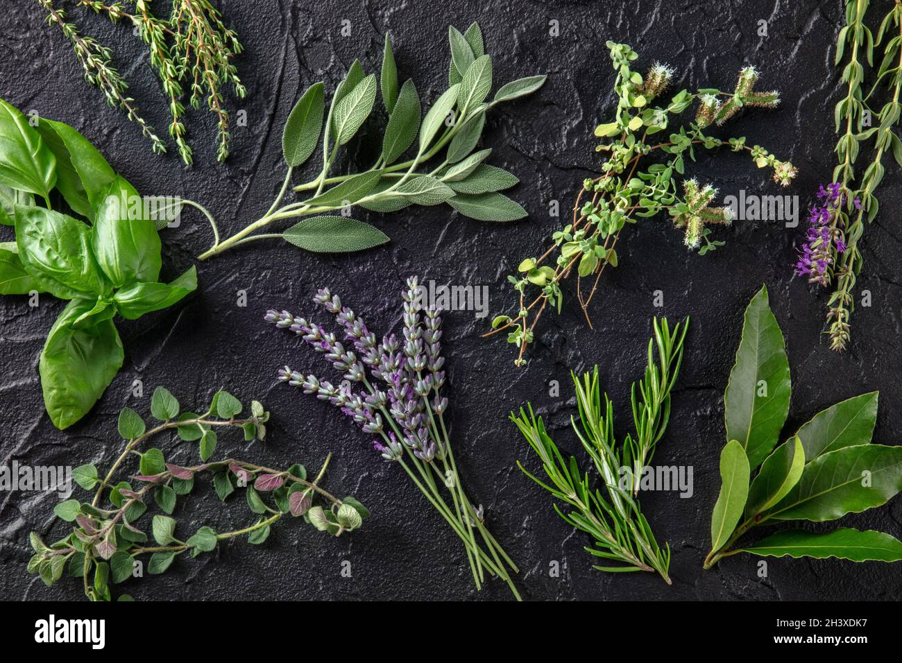 Fresh garden herbs, top shot on a black background. Bunches of herbs ...