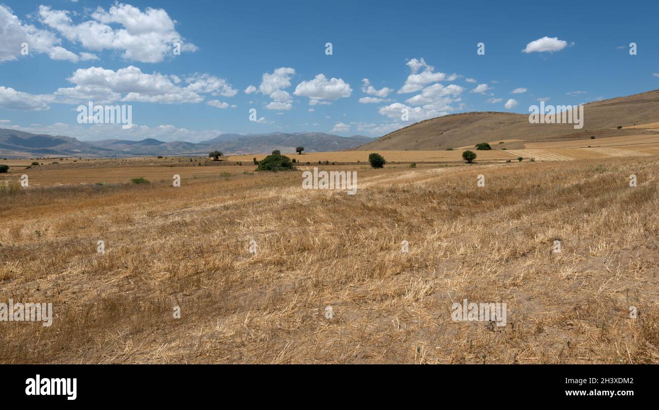 Landscape in eastern Turkey, crop field and hills with the steppe ...