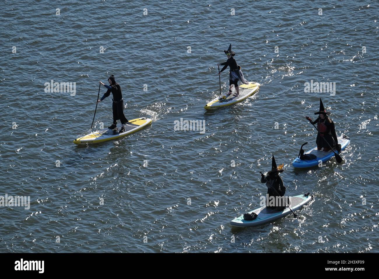 Witches paddle hi-res stock photography and images - Alamy
