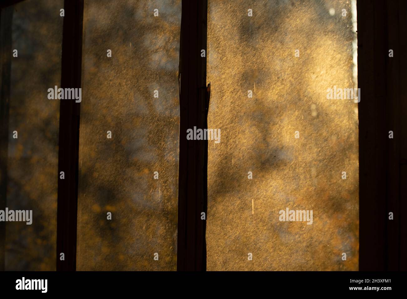 Washing greenhouse glass hi-res stock photography and images - Alamy