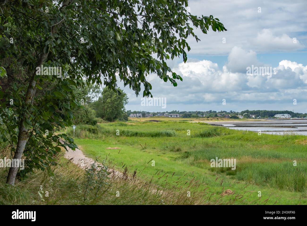Wadden sea conservation area hi-res stock photography and images - Alamy