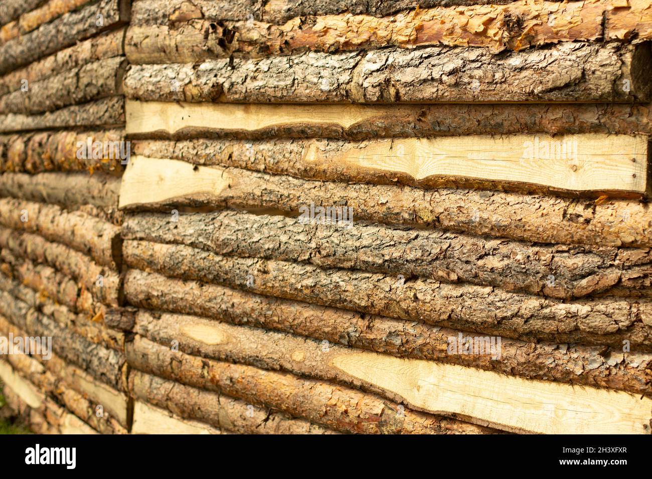 Fence of logs. Fence of pine boards. Fresh log house made of boards Stock Photo - Alamy