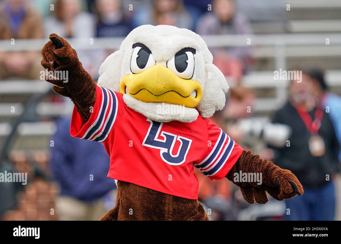 Williams college mascot hi-res stock photography and images - Alamy