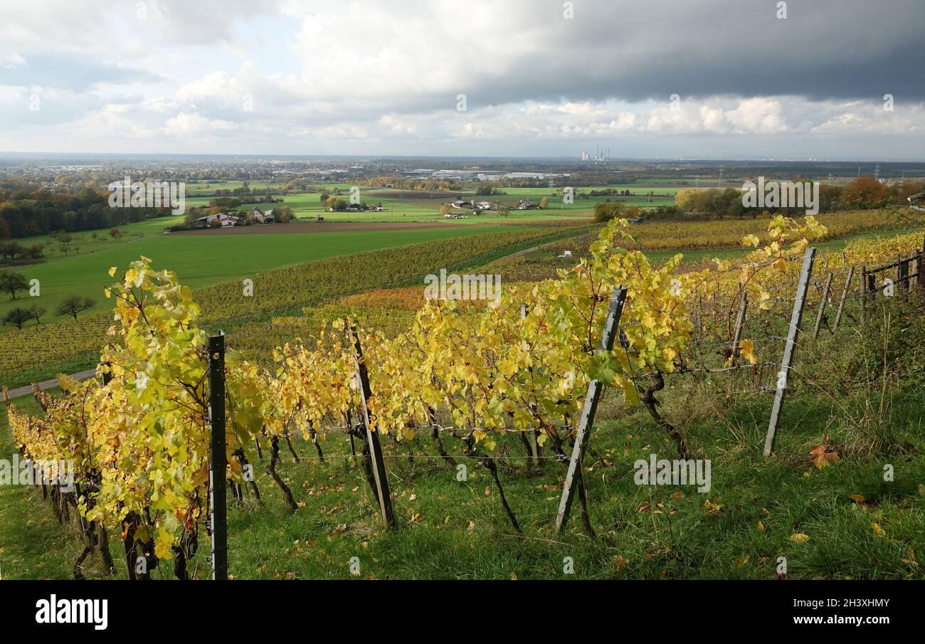 Hoerstein hi-res stock photography and images - Alamy