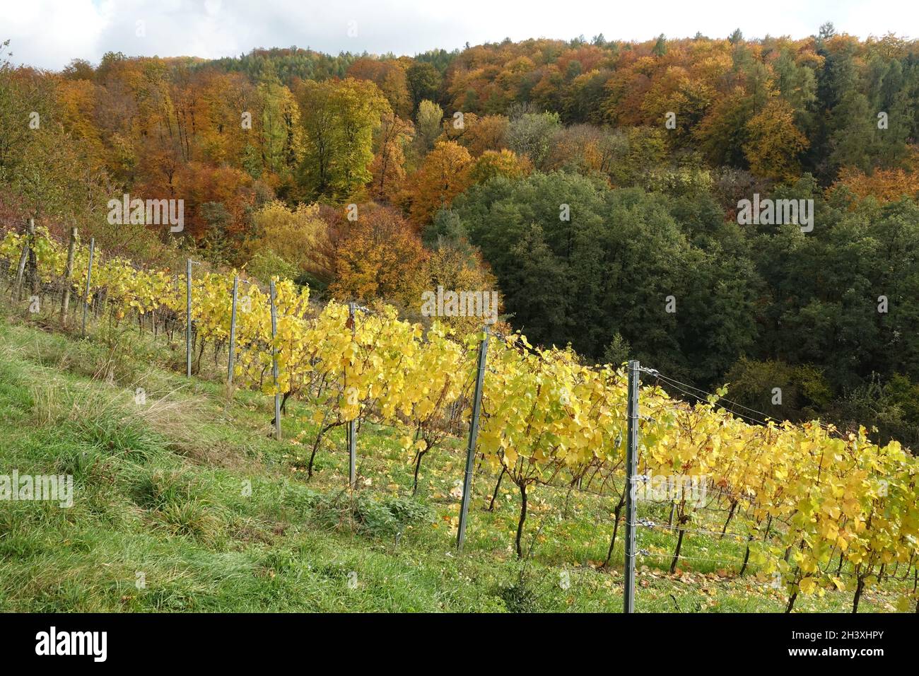 Hoerstein hi-res stock photography and images - Alamy