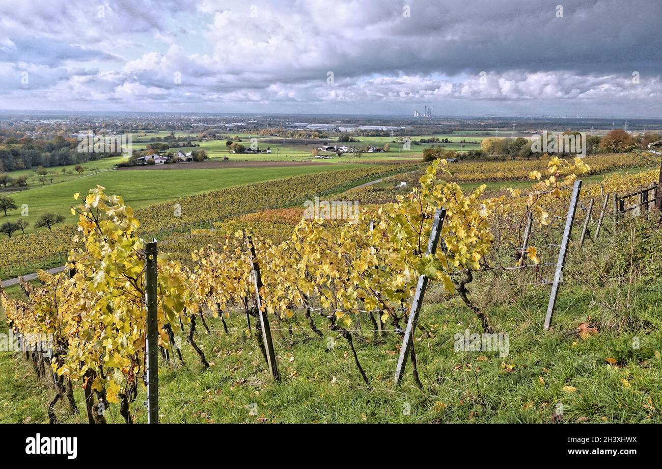 Hoerstein hi-res stock photography and images - Alamy