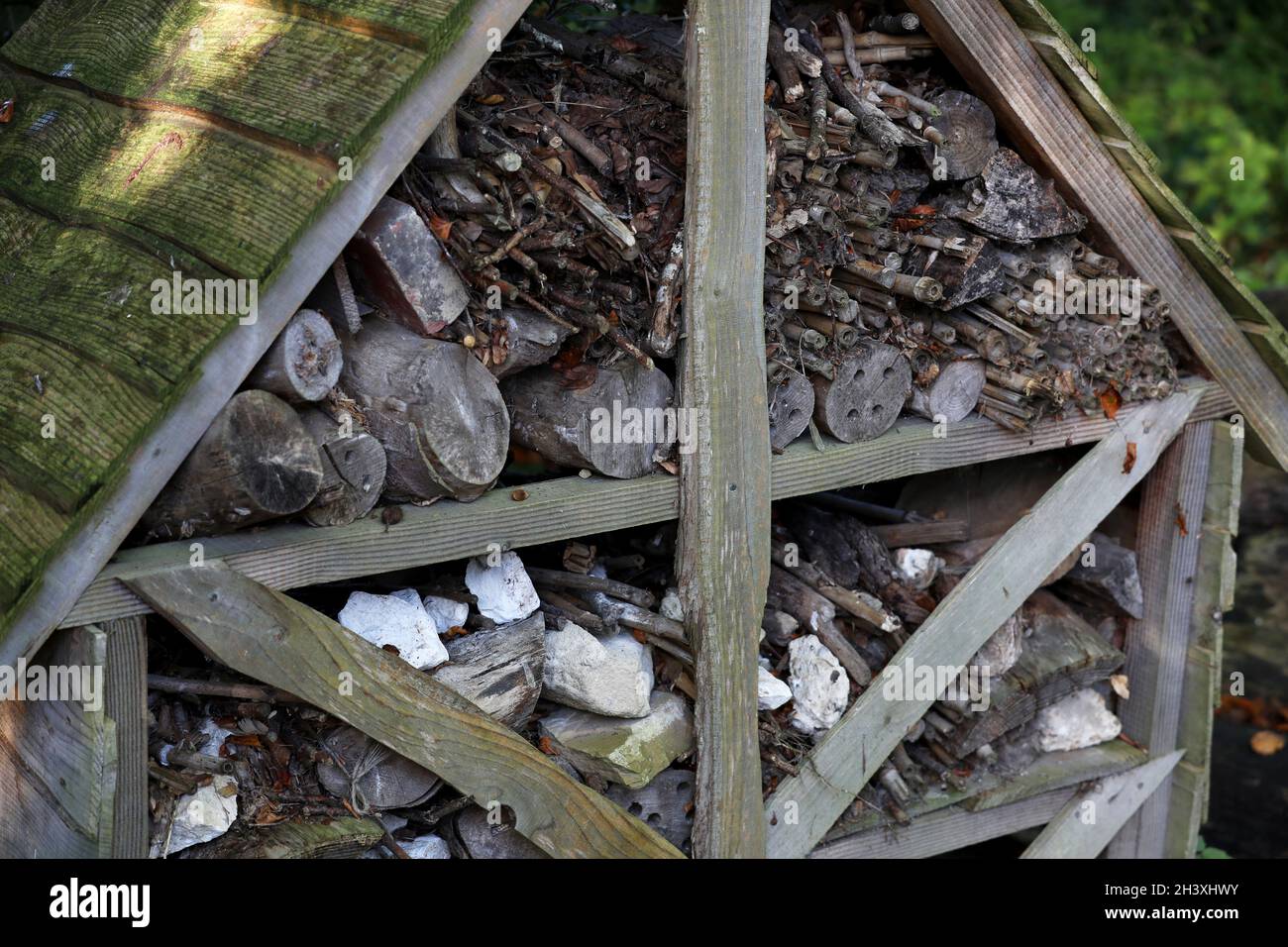 General views of the Weald & Downland Living Museum in Singleton ...