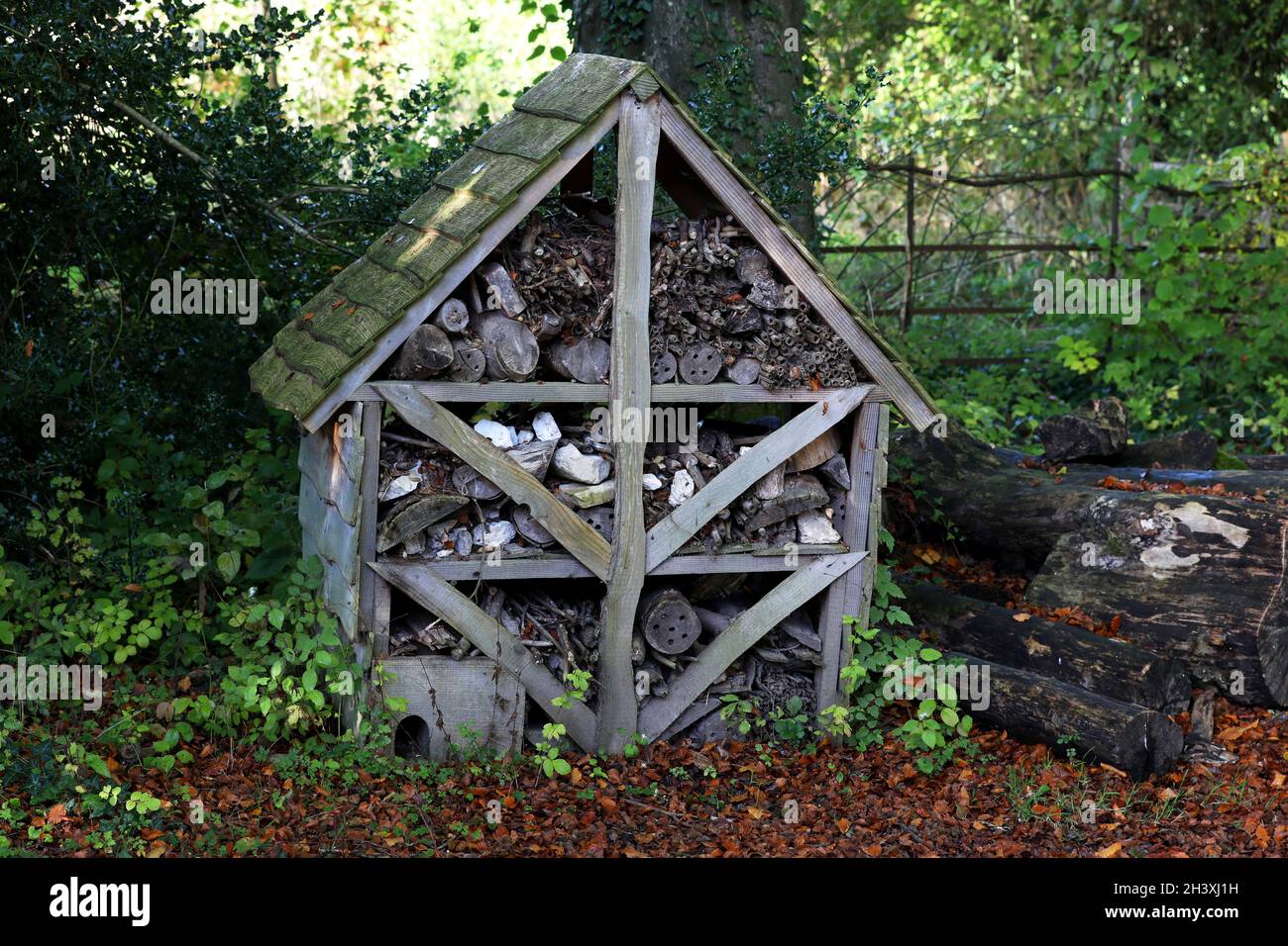 General views of the Weald & Downland Living Museum in Singleton ...