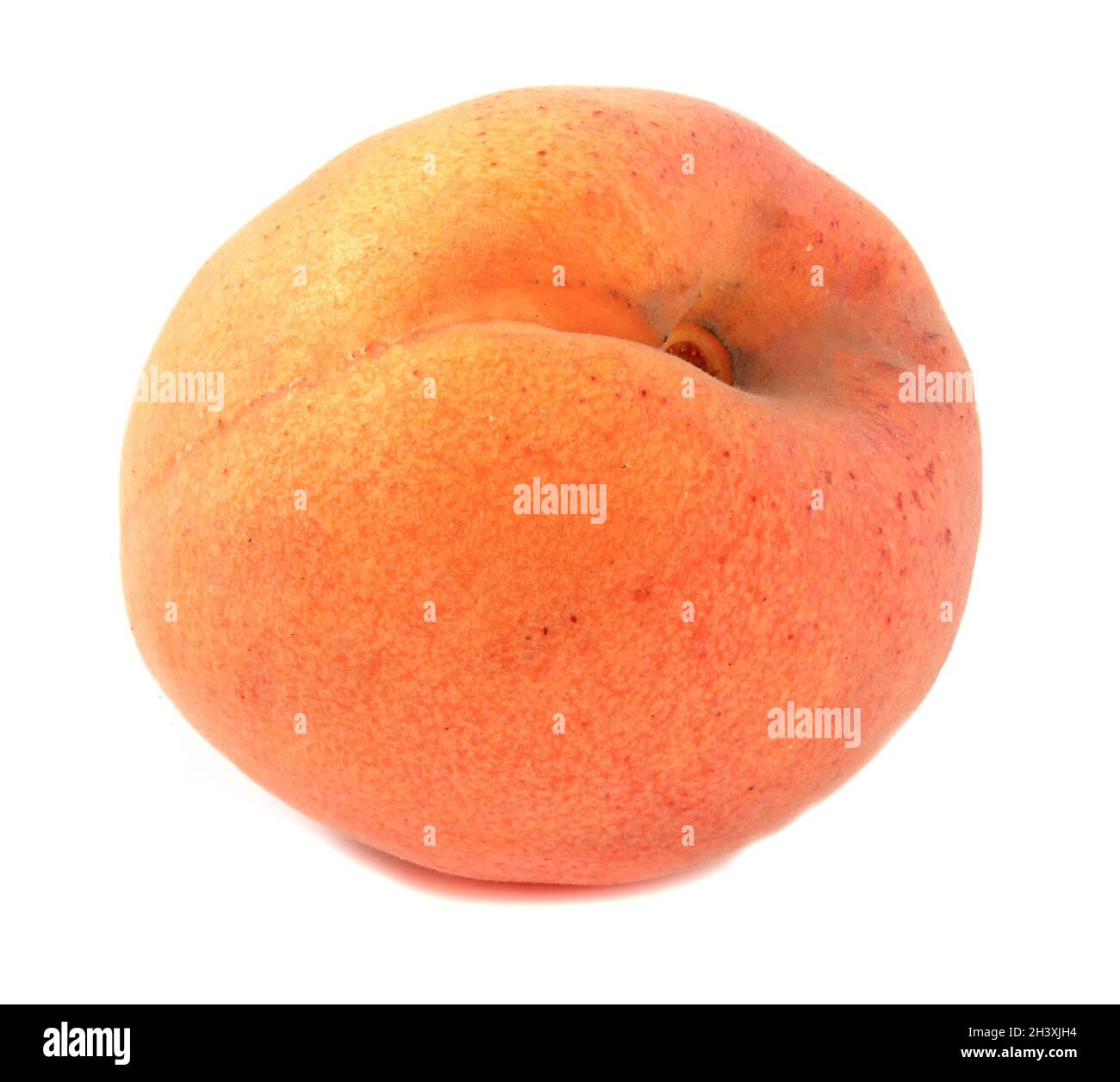 Ripe apricot isolated on white background. Fruit close up full focus ...
