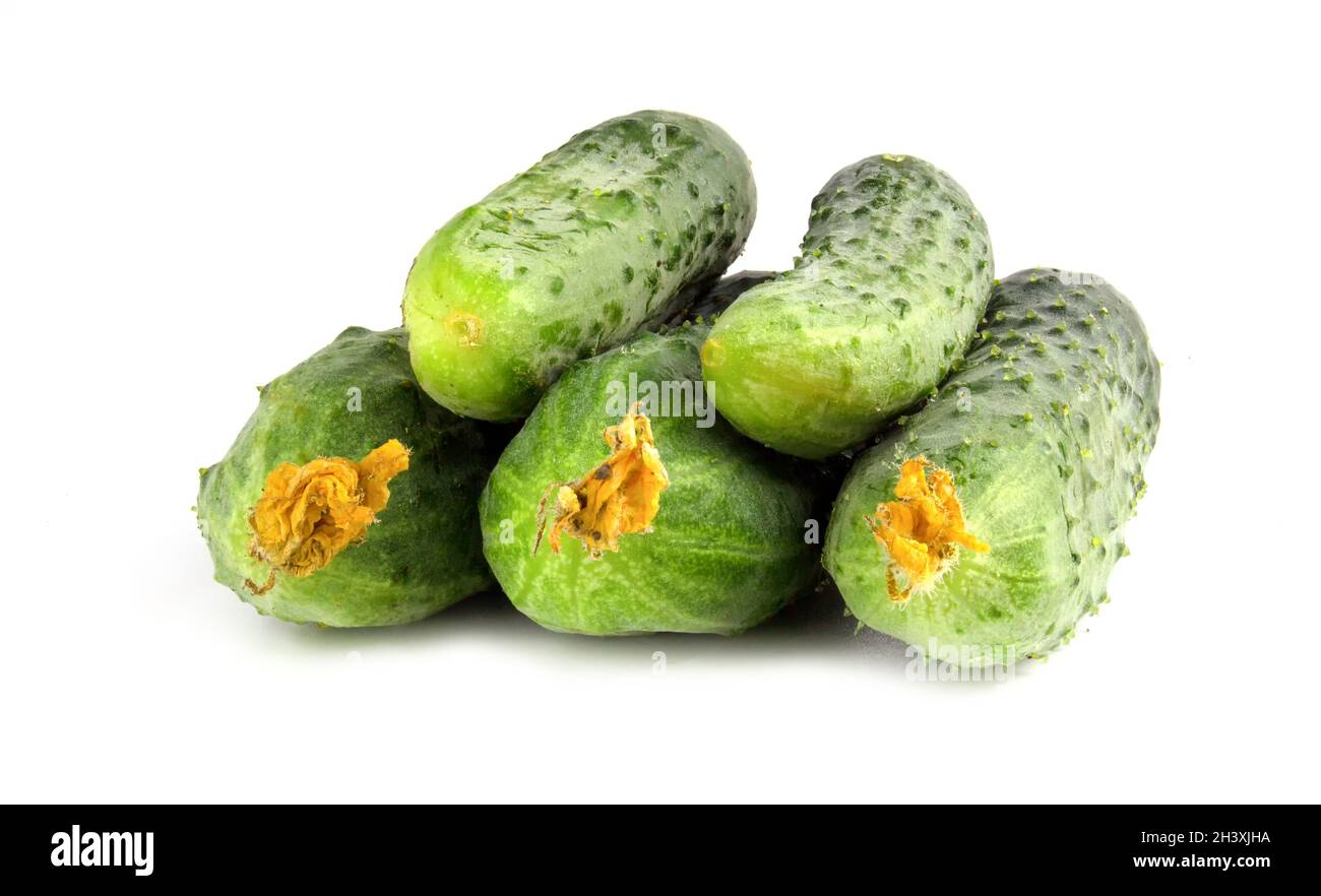 Just salad hi-res stock photography and images - Alamy