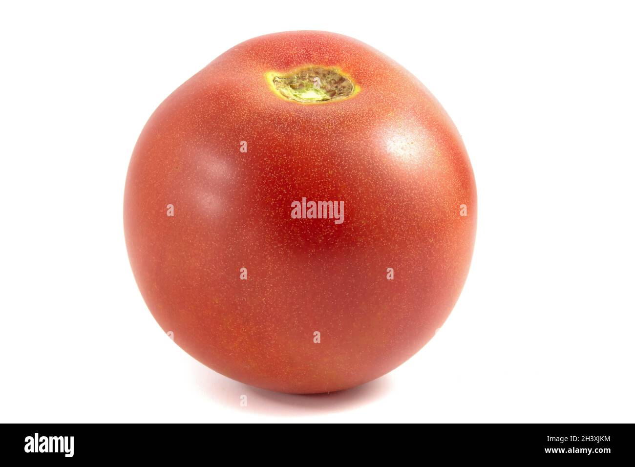 Red round tomato isolated on white background close-up Stock Photo - Alamy