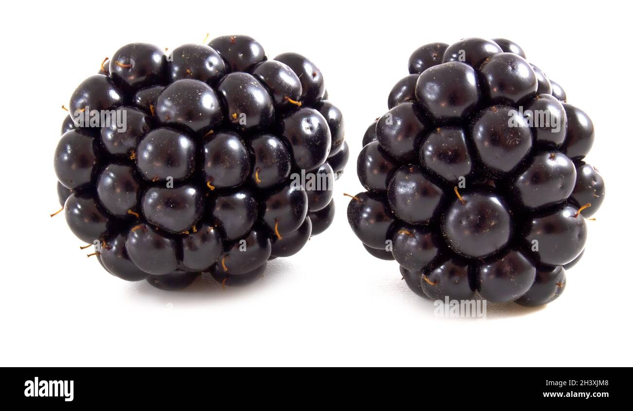 Fresh ripe blackberries isolated on white background. Berries up close ...
