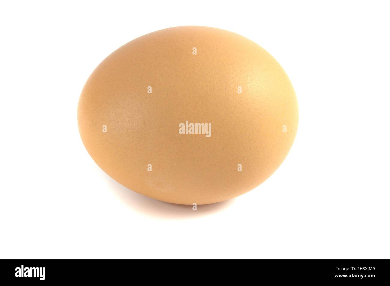 Egg isolated on white background close-up Stock Photo - Alamy