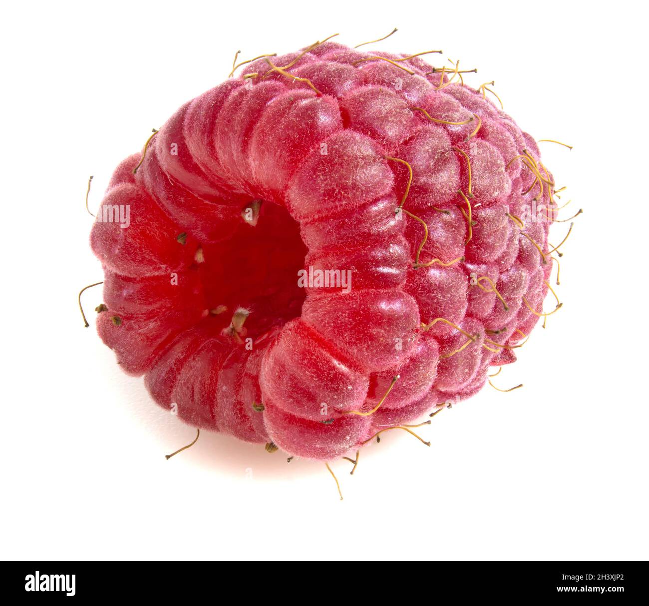 Raspberry berry close-up isolated on white background Stock Photo - Alamy