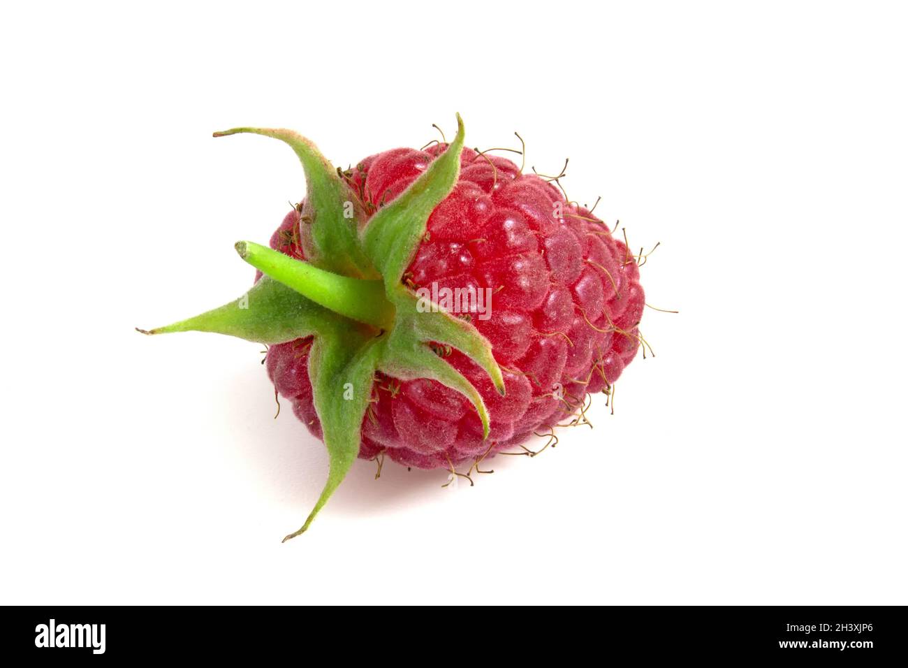One raspberry berry isolated on white background close up Stock Photo ...