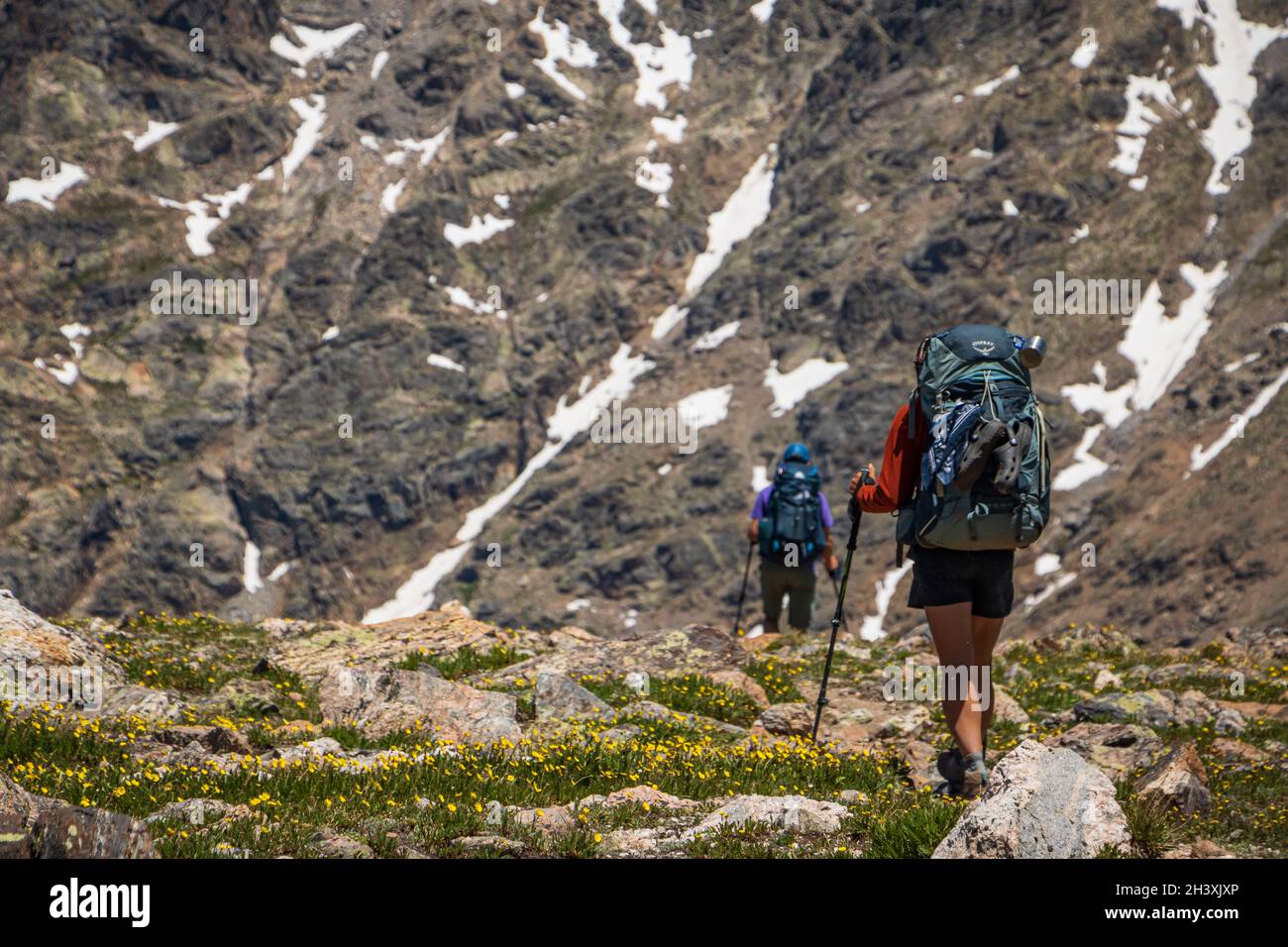 Hikers backpacking with heavy packs and hiking poles in rugged mountain ...