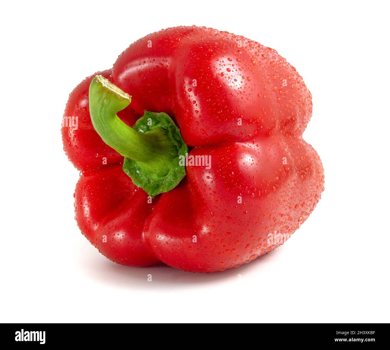 Close up photo side Cut Out Stock Images & Pictures - Alamy