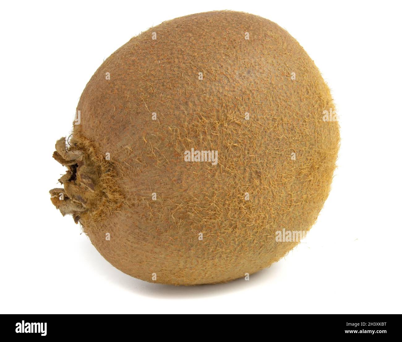 Whole kiwi fruit close-up isolated on white background Stock Photo - Alamy
