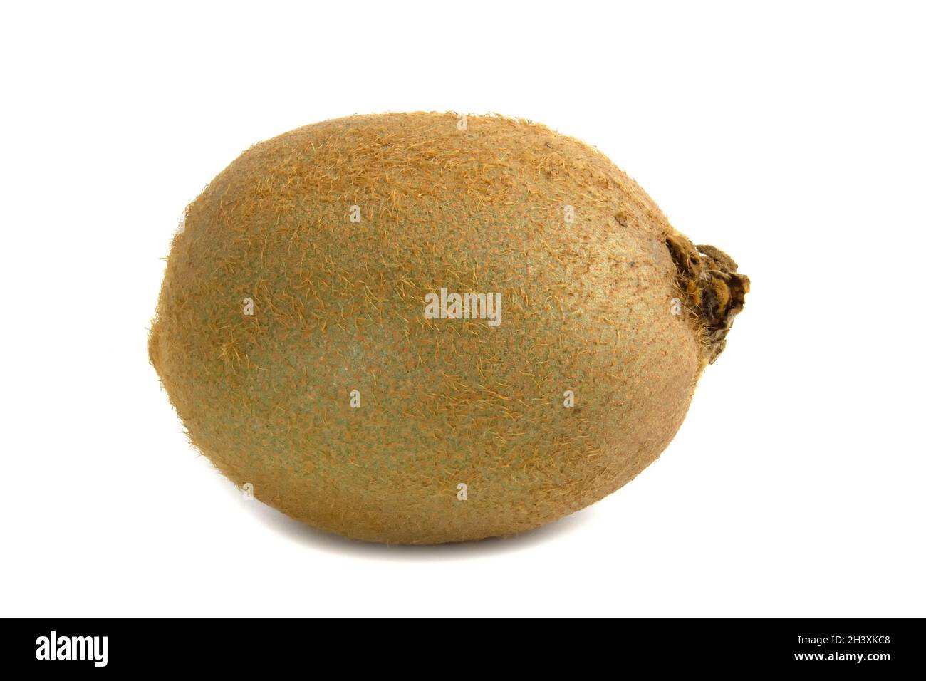 Whole kiwi fruit close-up isolated on white background Stock Photo - Alamy