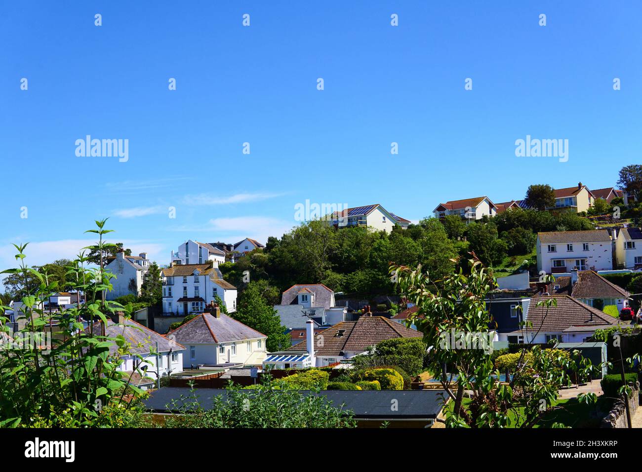 June devon landscape hi-res stock photography and images - Alamy