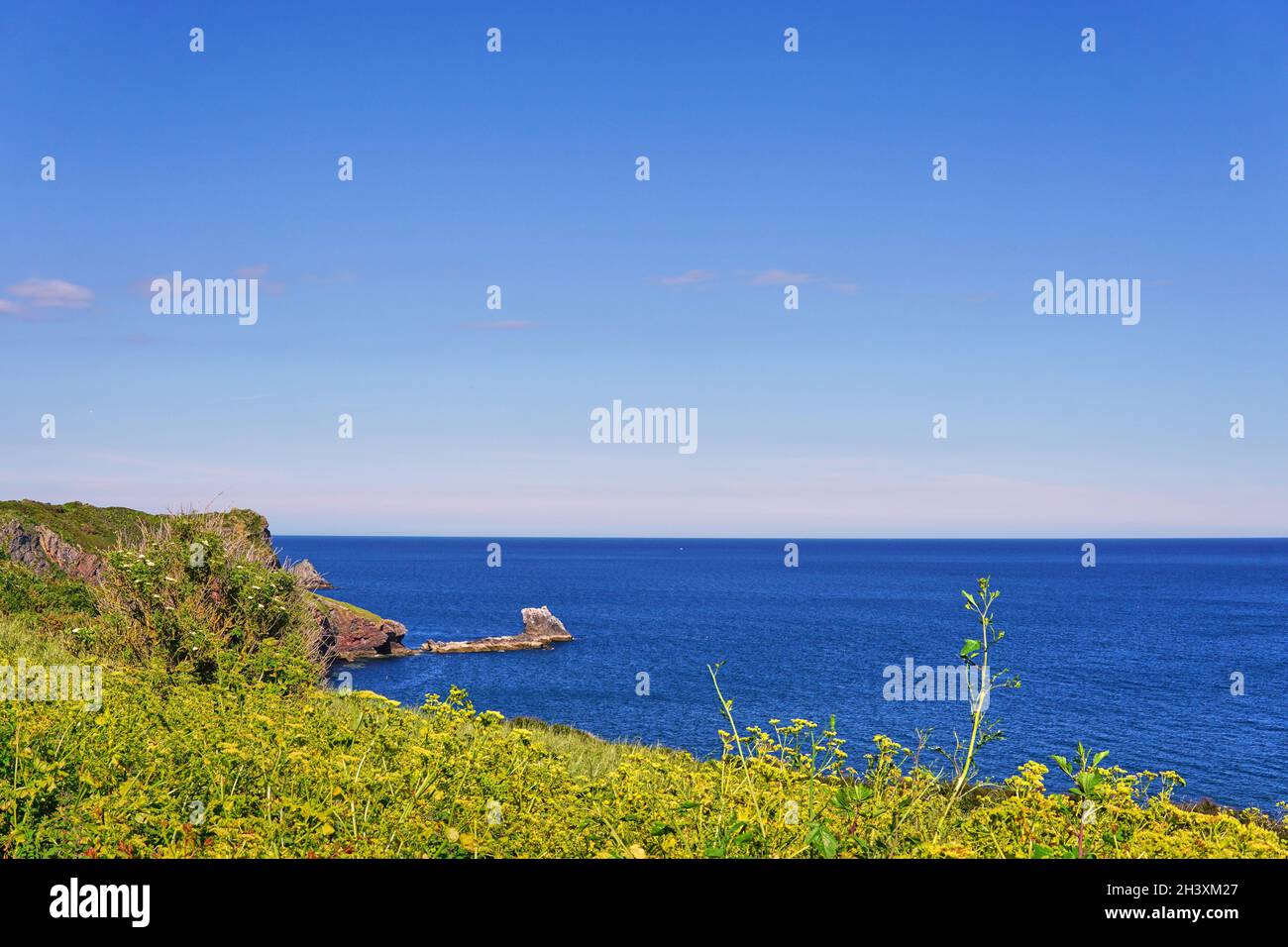 04 June 2021. Brixham, UK. View from the cliff in Berry Head at English ...