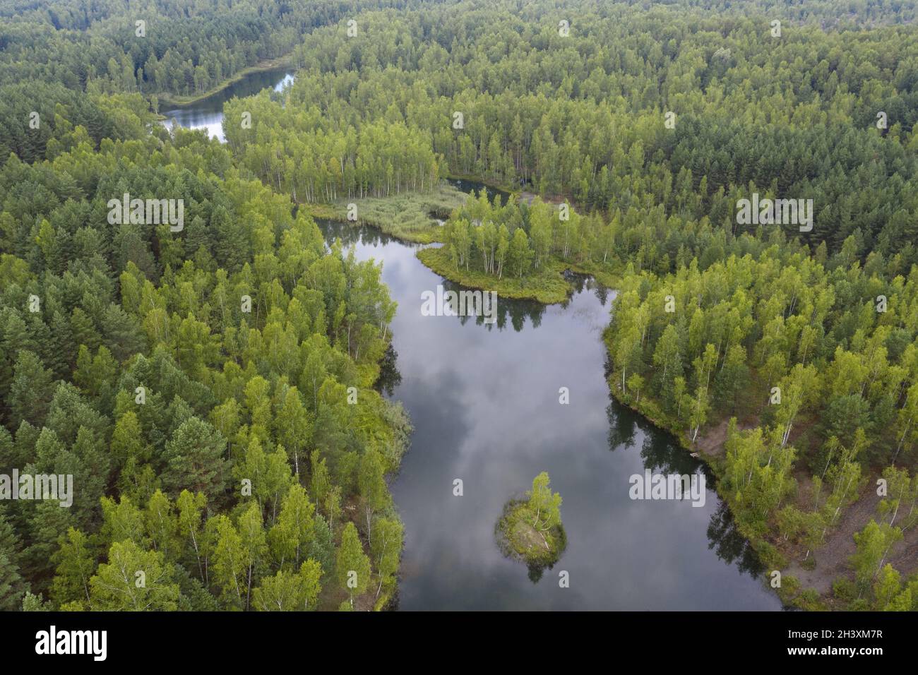 Aerial view of a forest lake with small island Stock Photo - Alamy