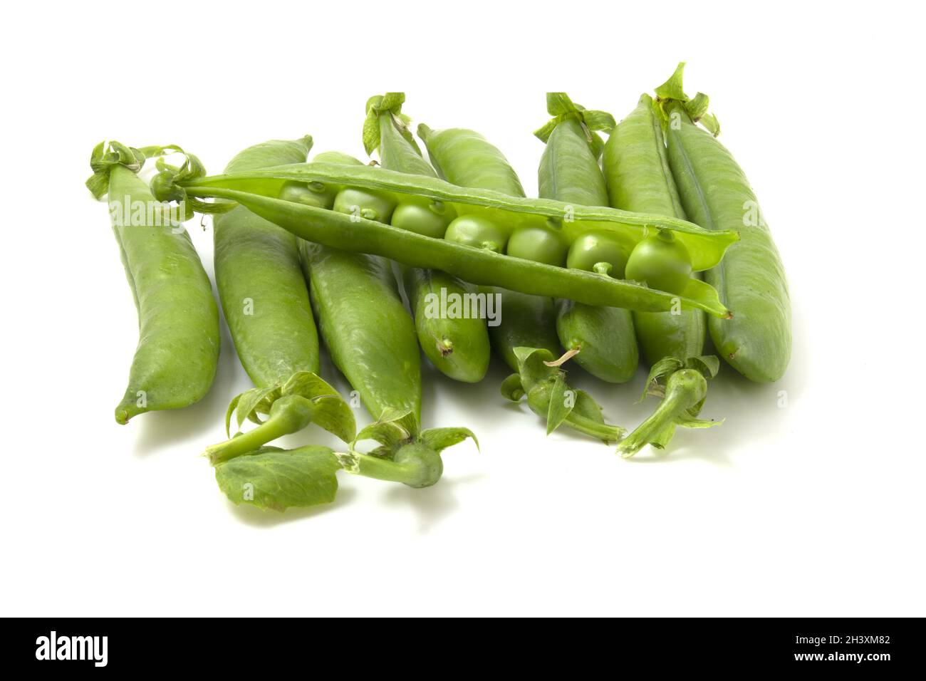 Green open pods fresh peas hi-res stock photography and images - Alamy