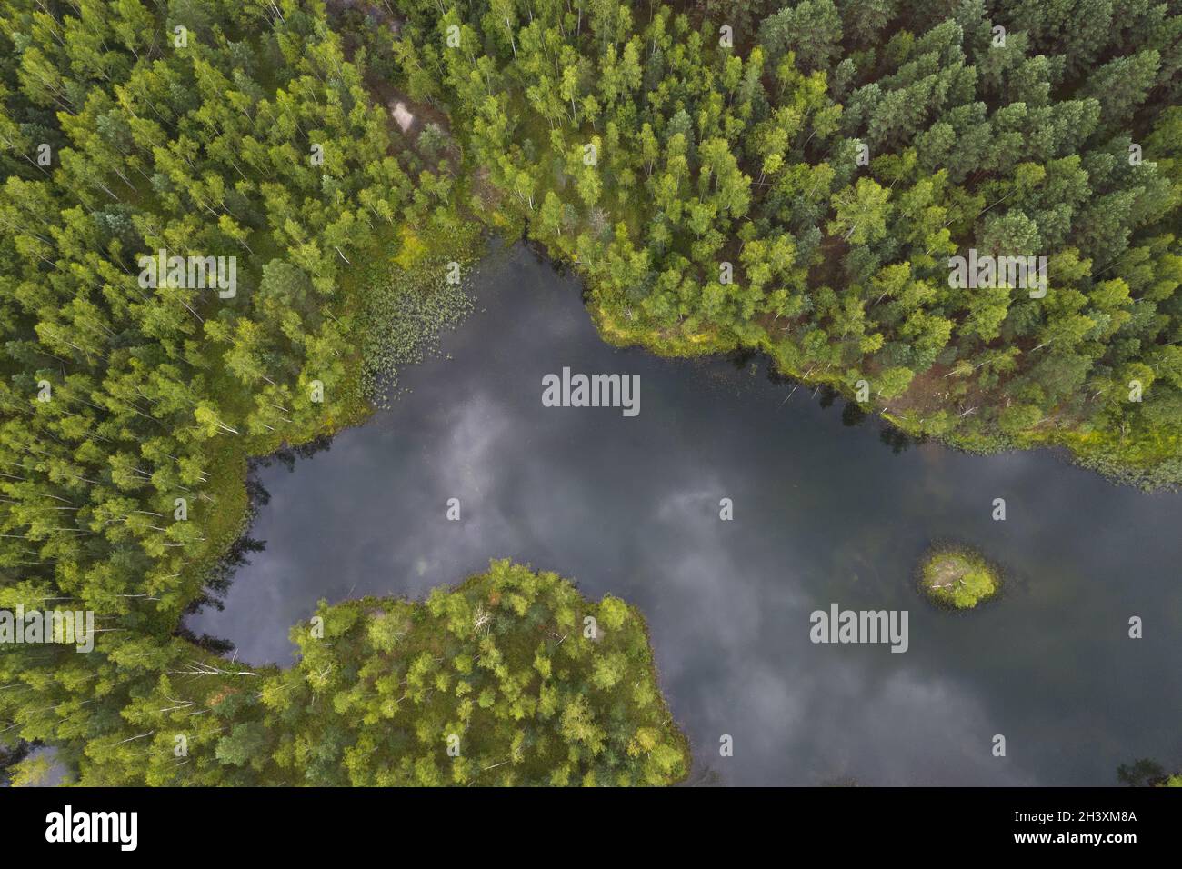 Aerial view of a forest lake with small island Stock Photo - Alamy