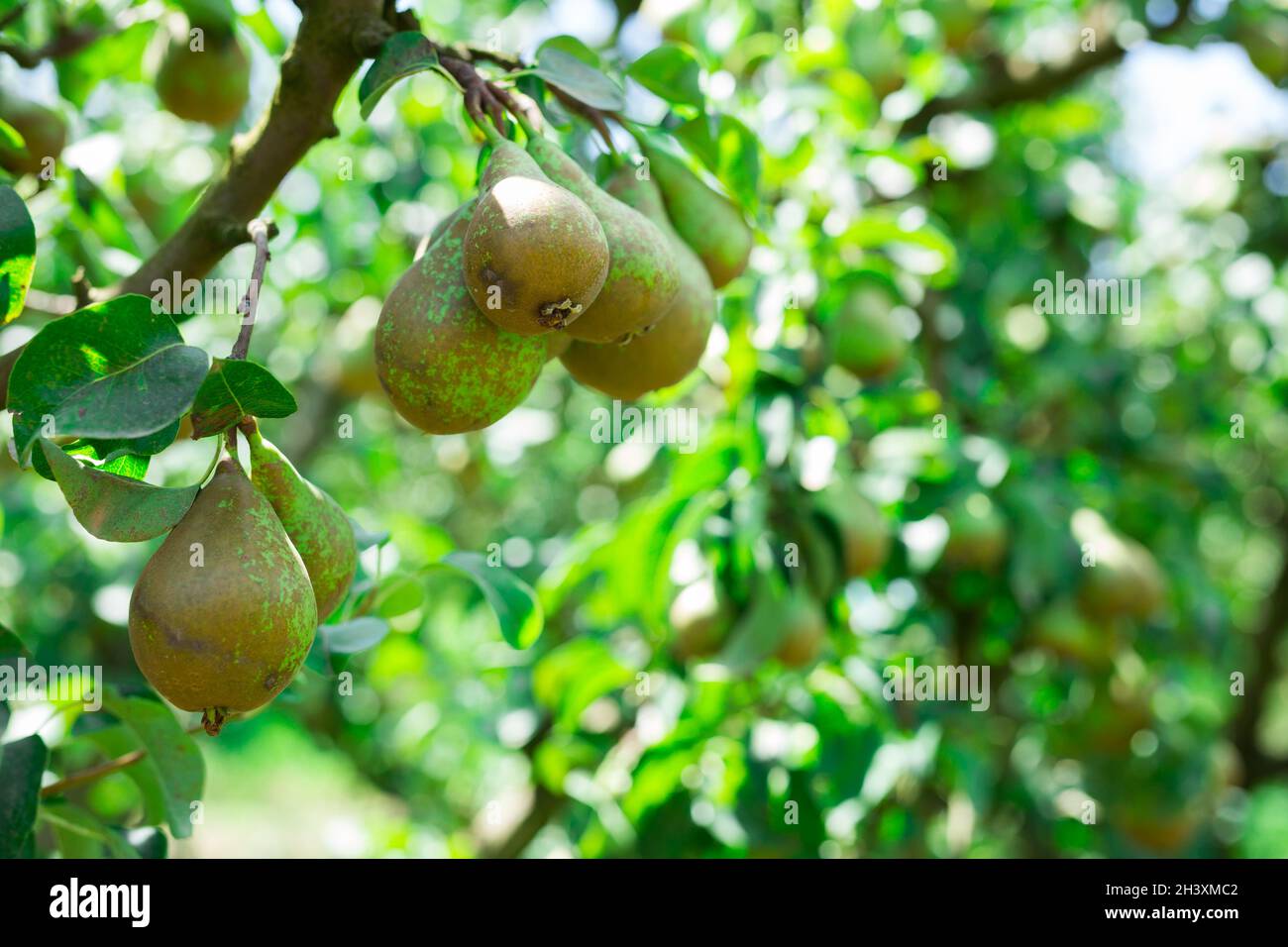 Fall conference hi-res stock photography and images - Alamy