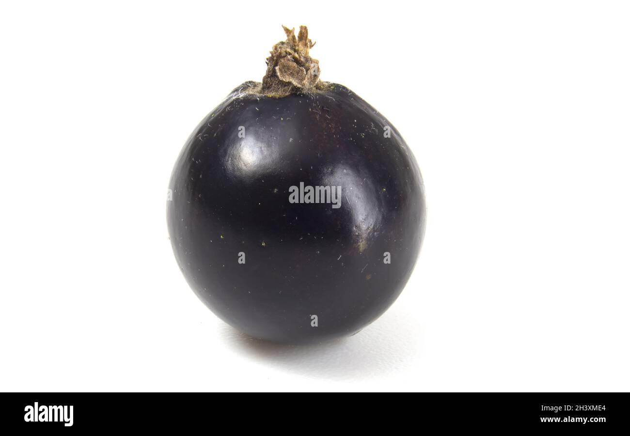 Black currant close up on a white background Stock Photo - Alamy