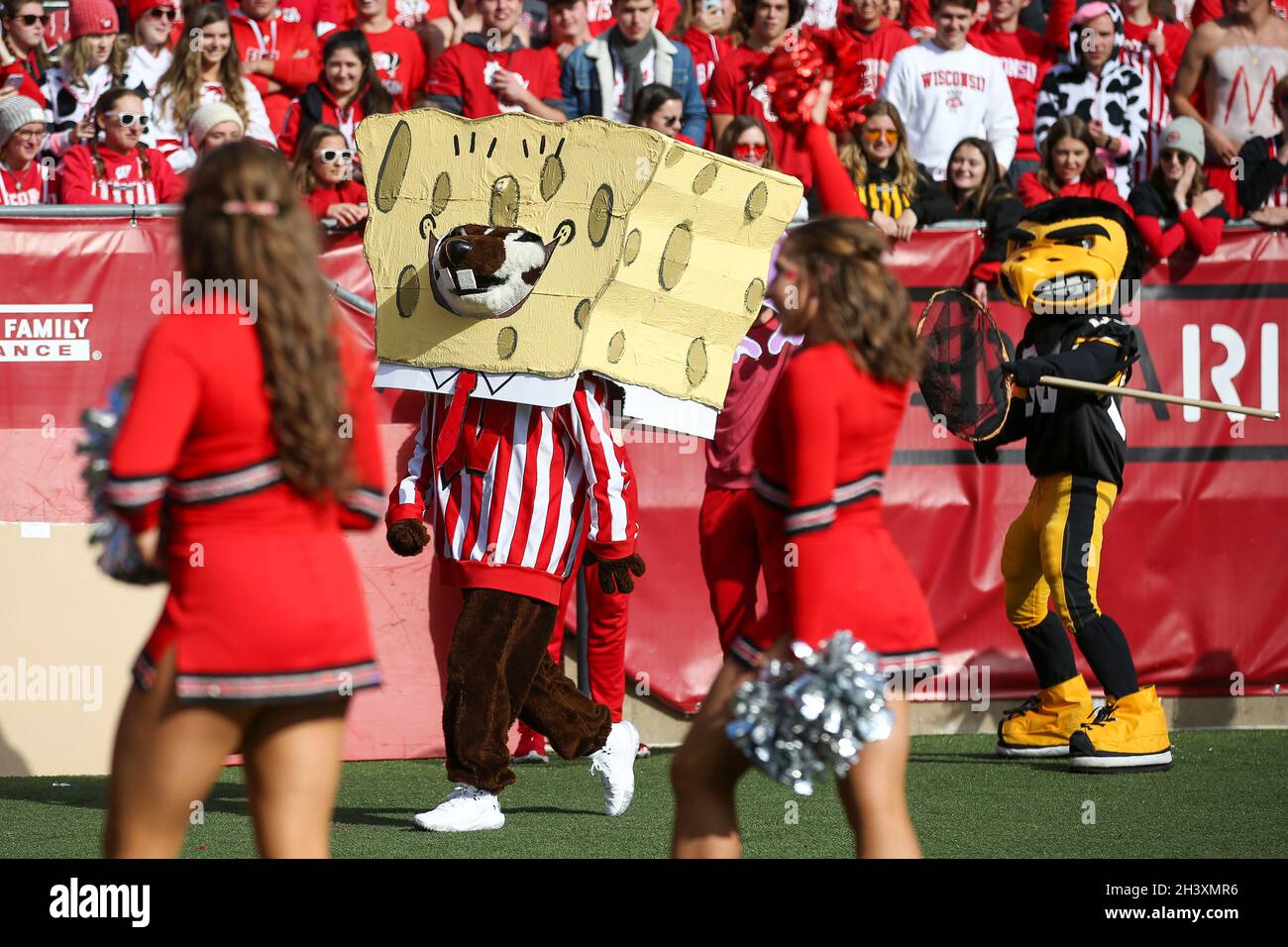 October 30, 2021: Bucky Badger as Spongebob and Herky the Hawk role ...