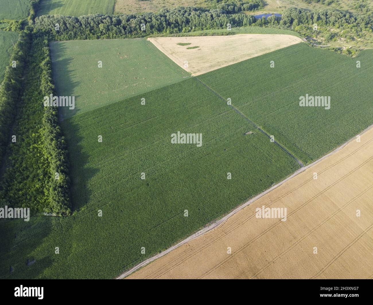 Aerial view of agricultural fields and fields hi-res stock photography ...